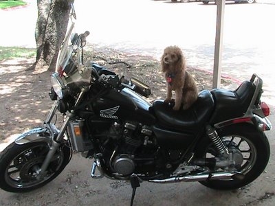 ตลาดซื้อขาย มอเตอร์ไซค์ HONDA (ฮอนด้า) บิ๊กไบค์ กรุงเทพ มือสอง (สินค้า ...